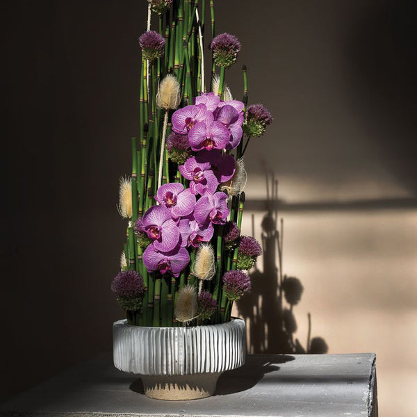 Grayton Compote – Paynes Gray