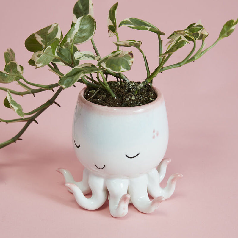 Open Arms Octopus Pot Set of 2 – Paynes Gray