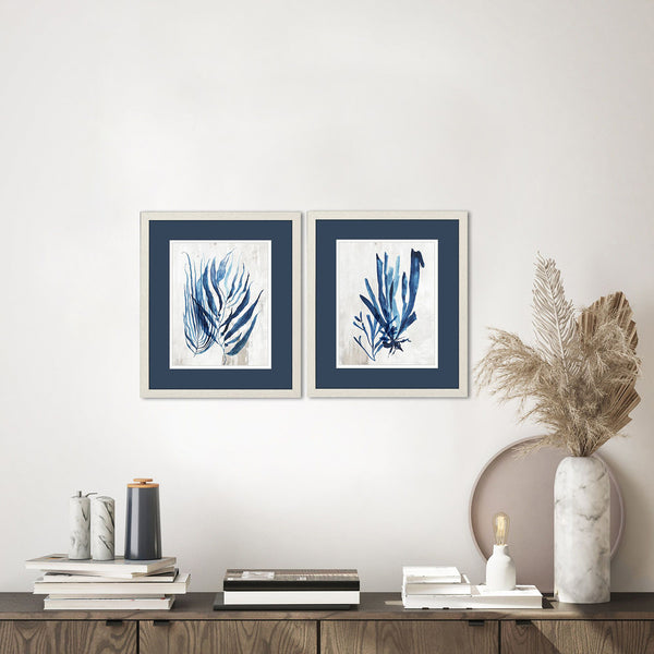 Wilson Coral Plant Framed Art Set of 2 – Paynes Gray