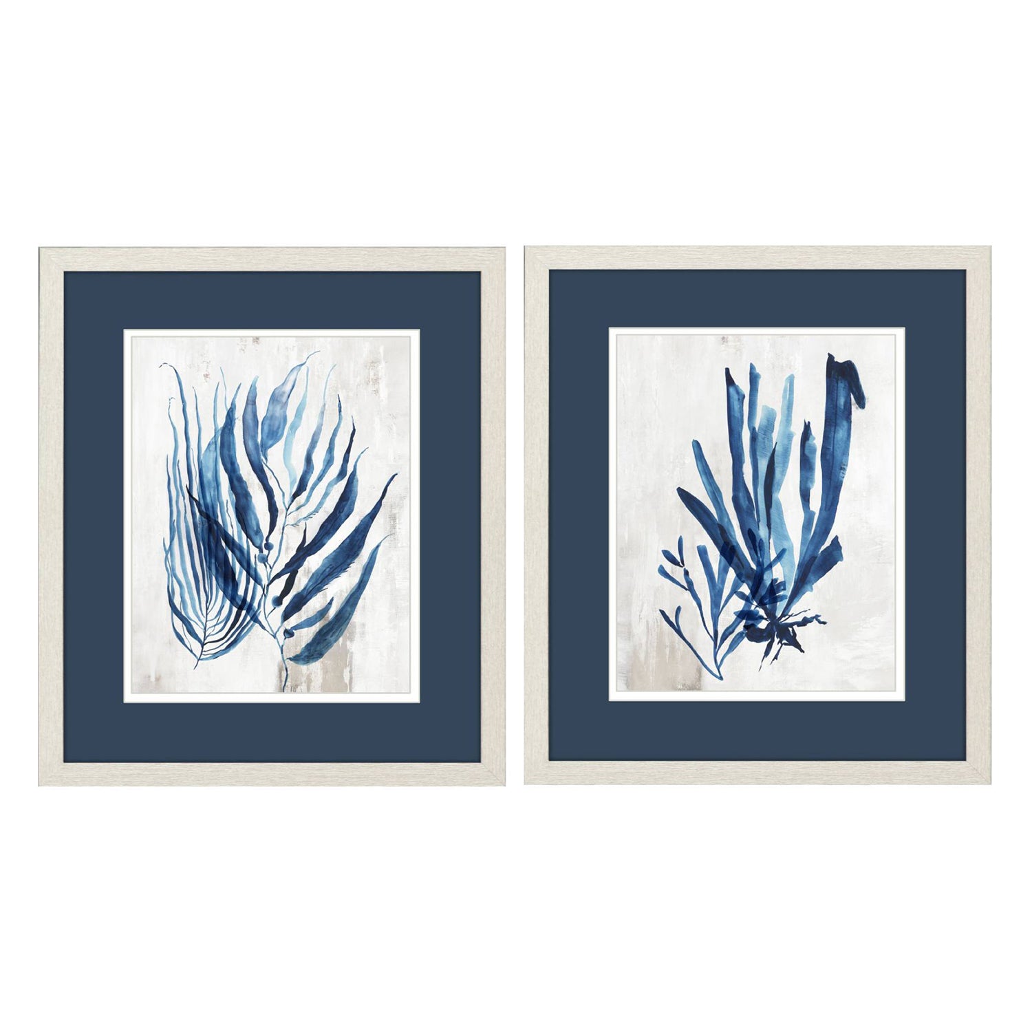 Wilson Coral Plant Framed Art Set of 2 – Paynes Gray