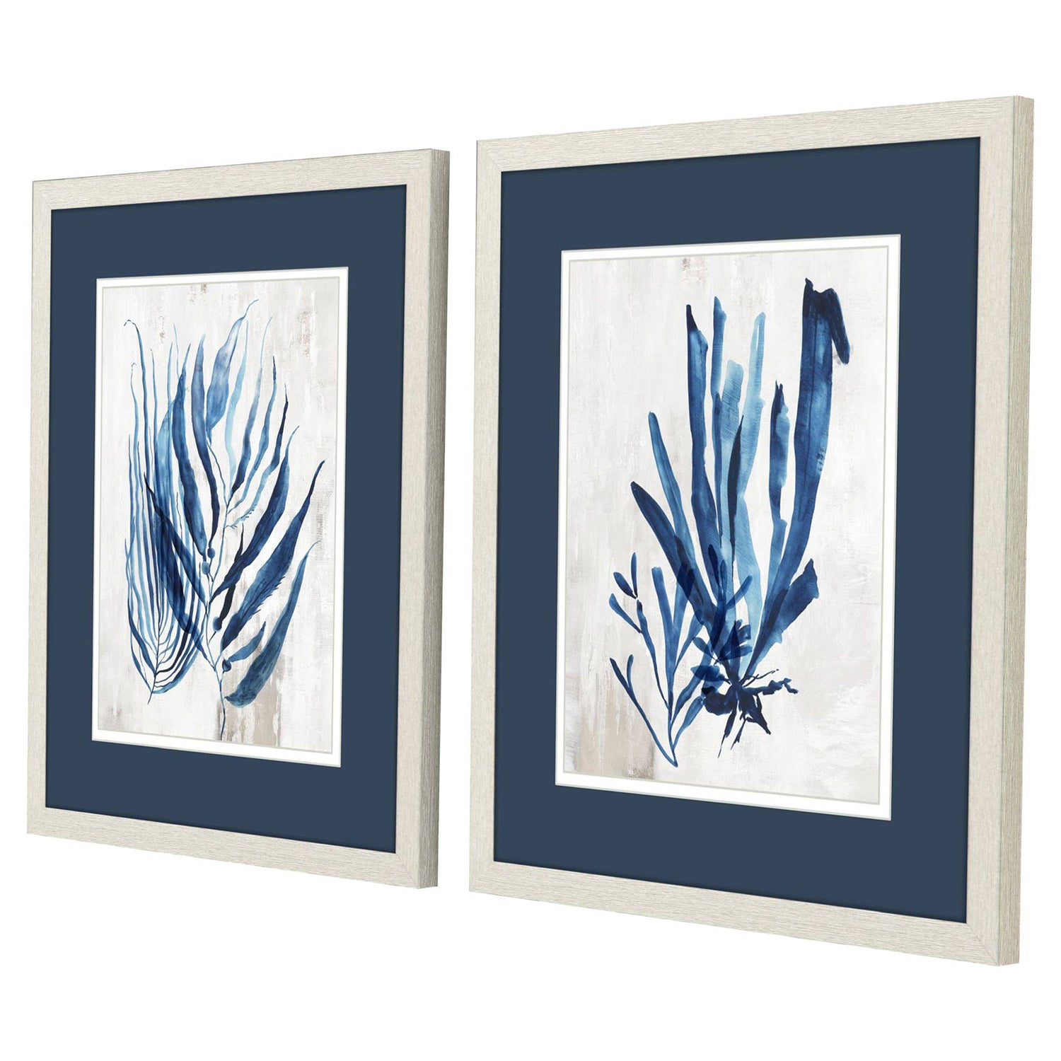 Wilson Coral Plant Framed Art Set of 2 – Paynes Gray