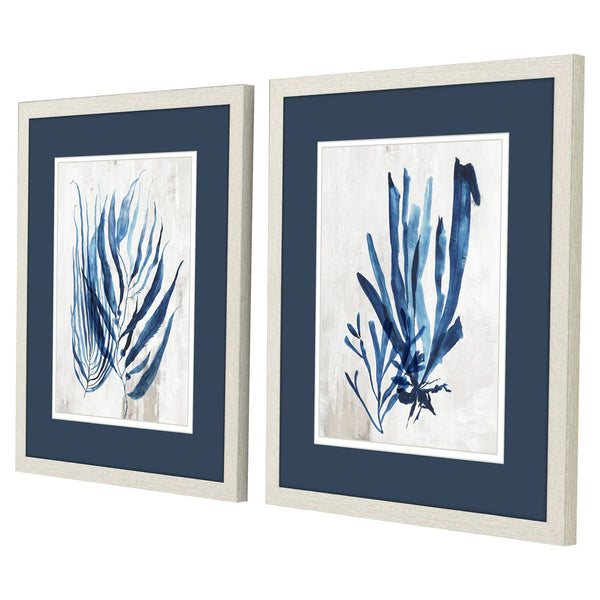 Wilson Coral Plant Framed Art Set of 2 – Paynes Gray