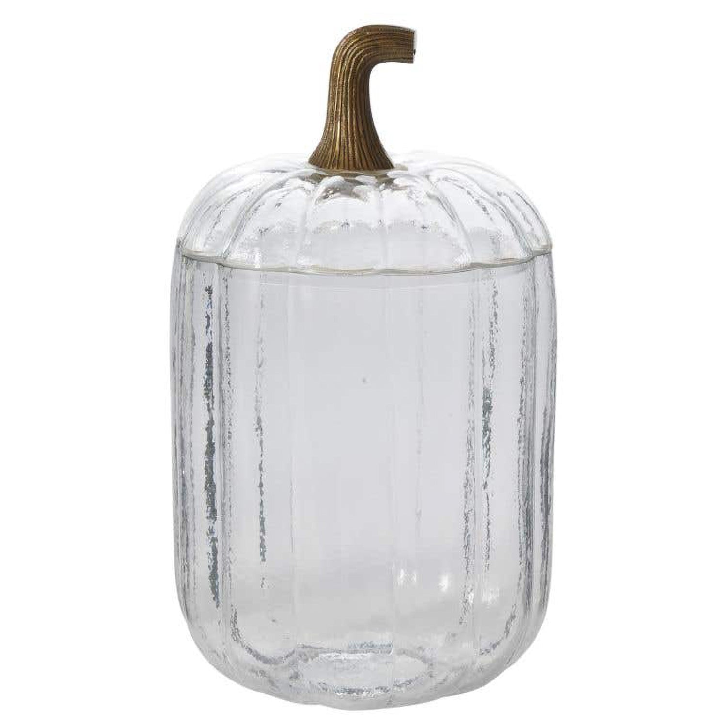 Translucent Pumpkin Terrarium – Paynes Gray