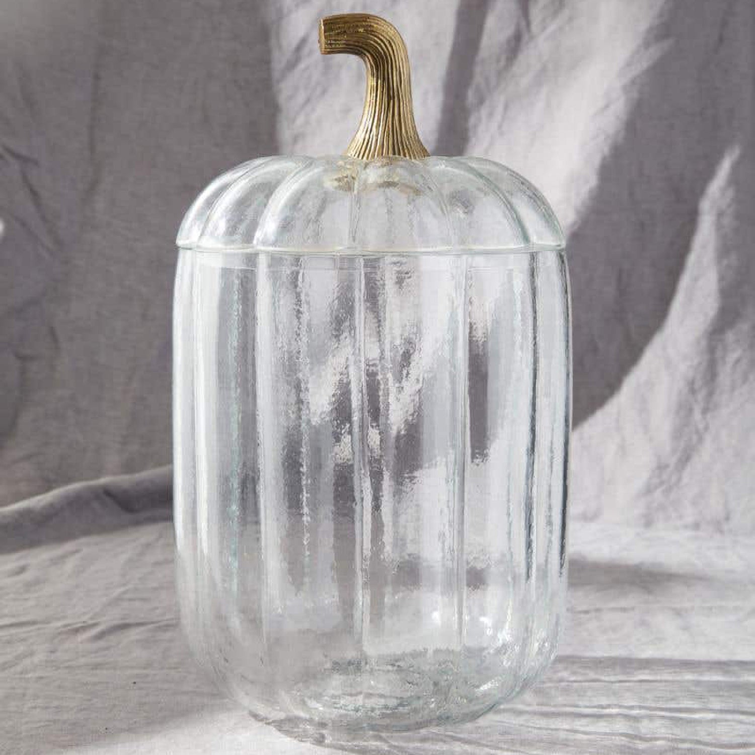 Translucent Pumpkin Terrarium – Paynes Gray