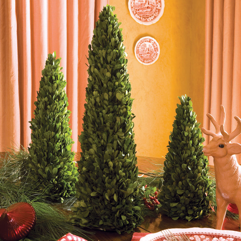 Boxwood Mini Tree Set of 3 – Paynes Gray