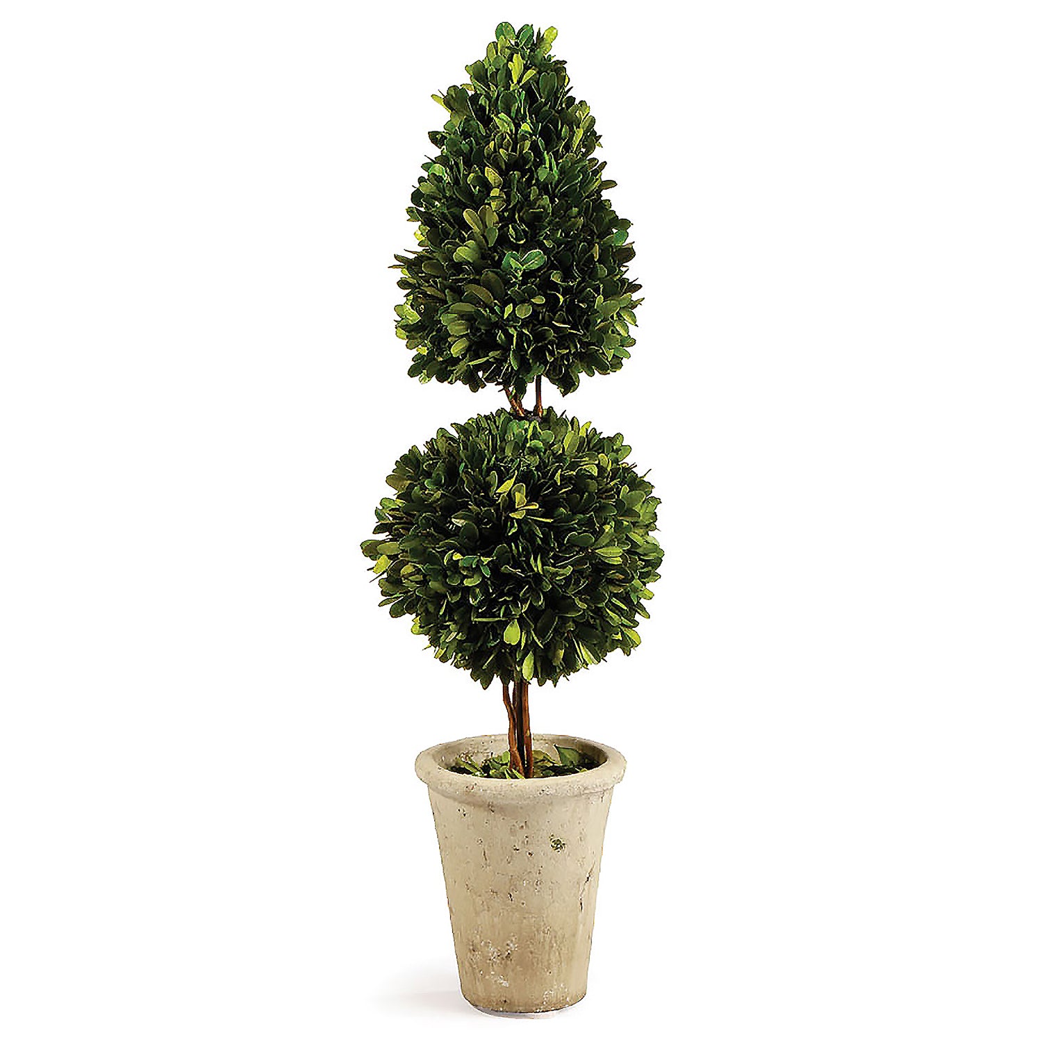 Boxwood Sphere Topiary – Paynes Gray