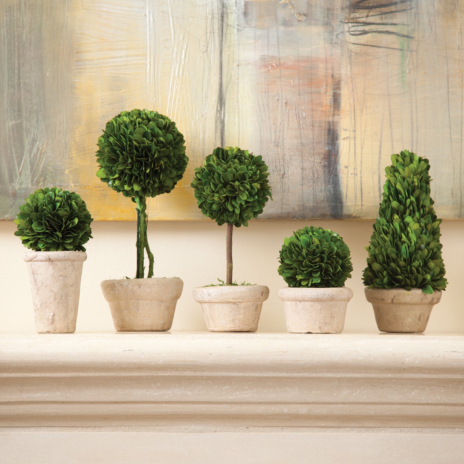 Boxwood Topiaries in Pot Set of 5 – Paynes Gray