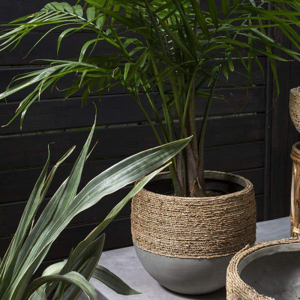 Reed Pot – Paynes Gray