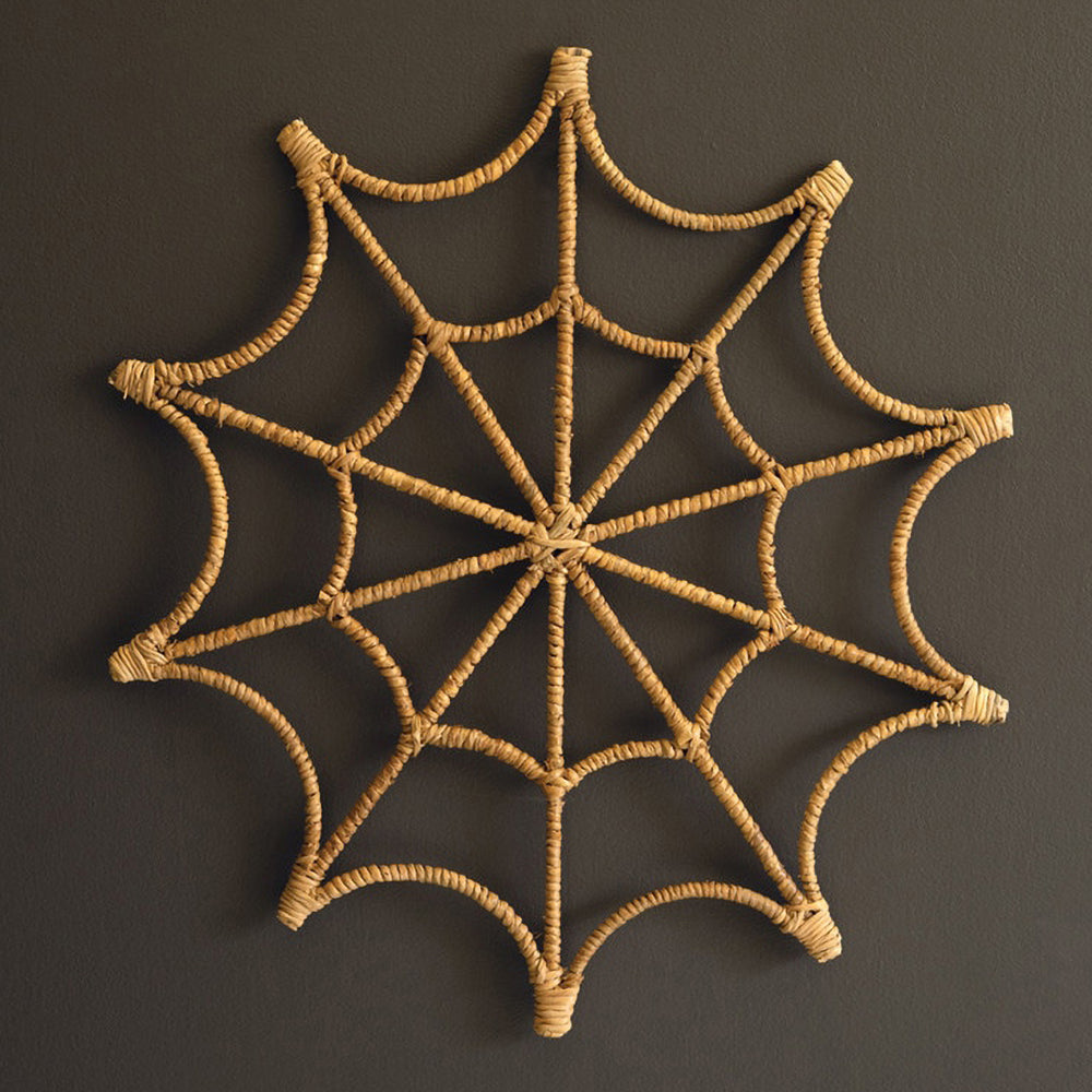 Spider Web Wall Hanging