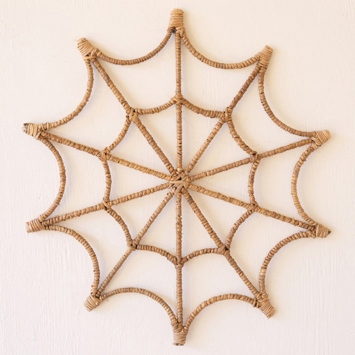 Spider Web Wall Hanging