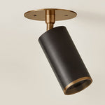 Troy Lighting Caleb Flush Mount – Paynes Gray