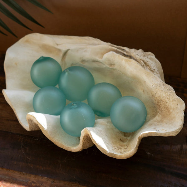 Giant Resin Clam Shell – Paynes Gray