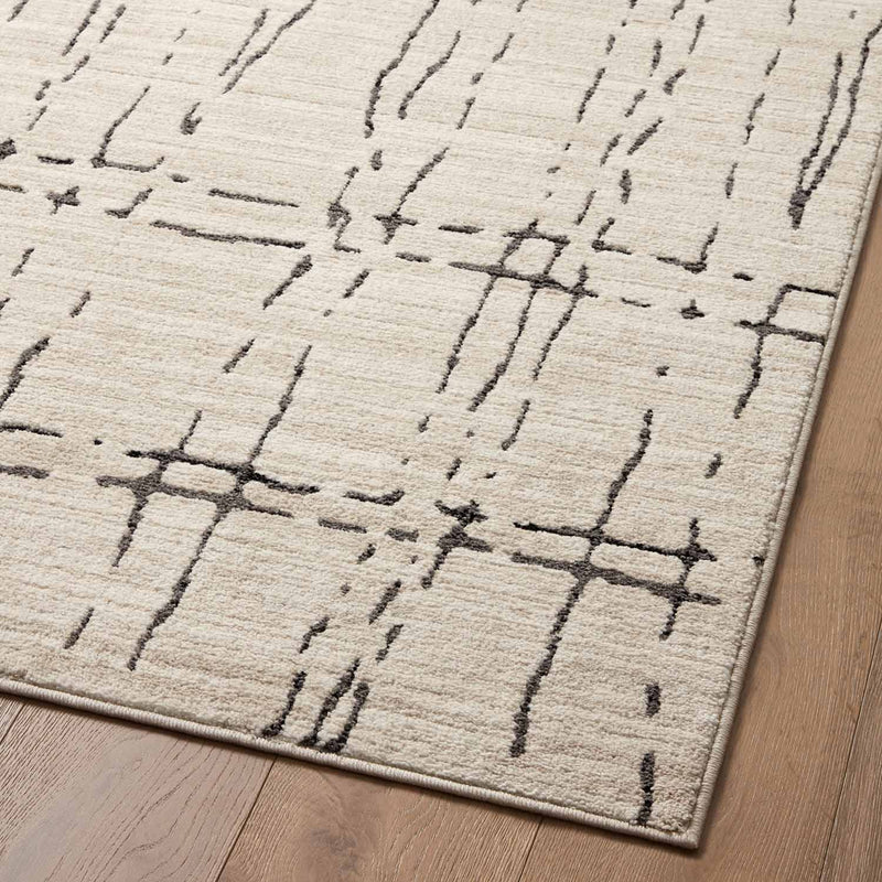 Loloi Darby Sand/Dark Gray Power Loomed Rug – Paynes Gray