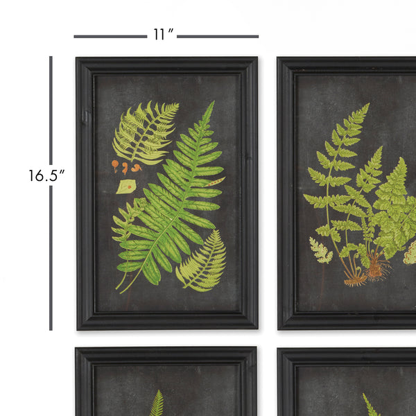 Fern Botanical Framed Wall Art Set of 9 – Paynes Gray