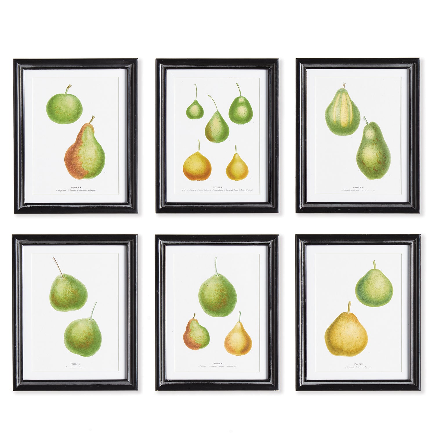 Pear Study Wall Art Set of 6 – Paynes Gray