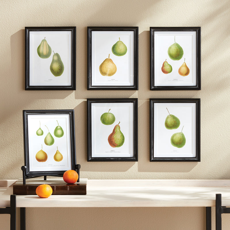 Pear Study Wall Art Set of 6 – Paynes Gray