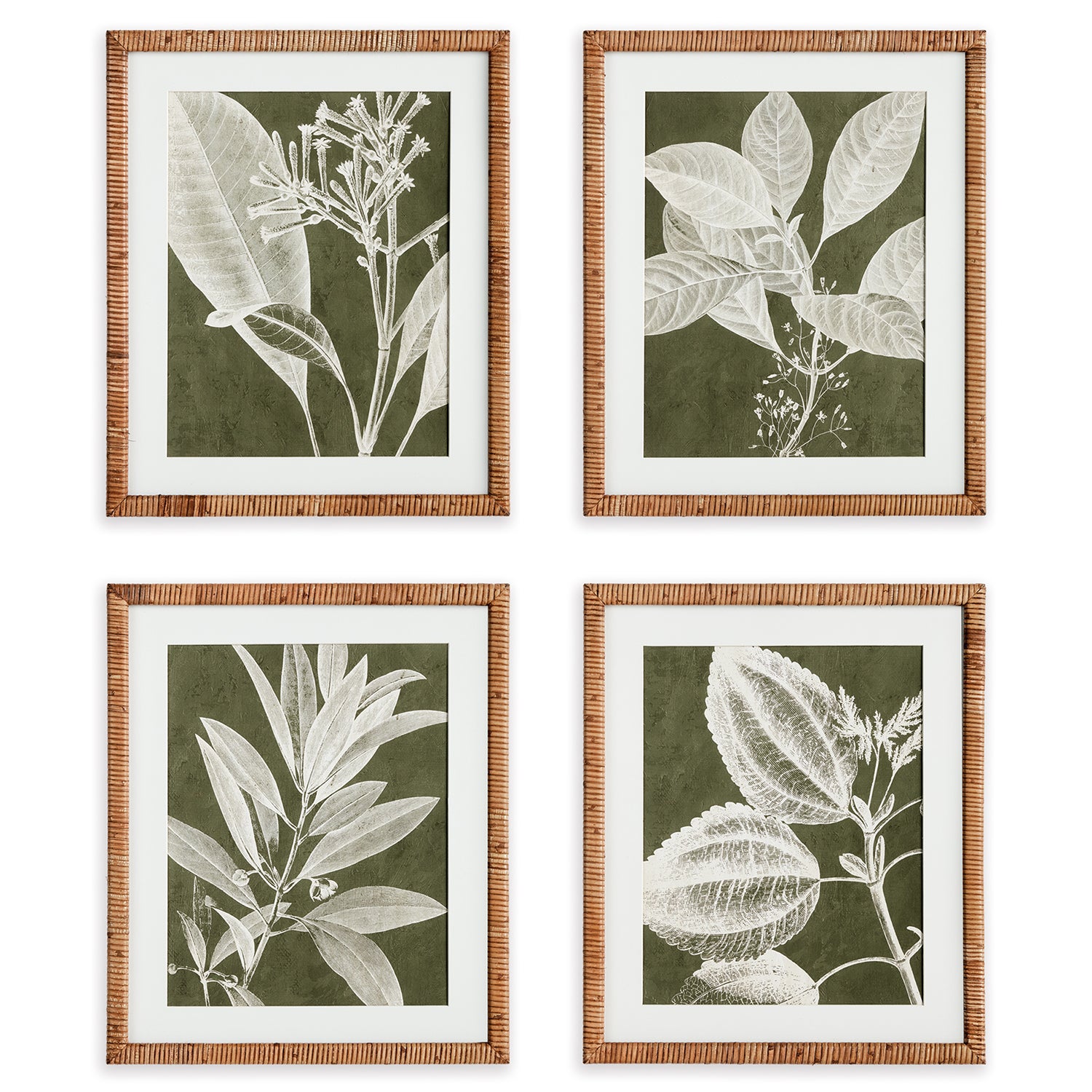 Translucent Stem Wall Art Set of 4 – Paynes Gray