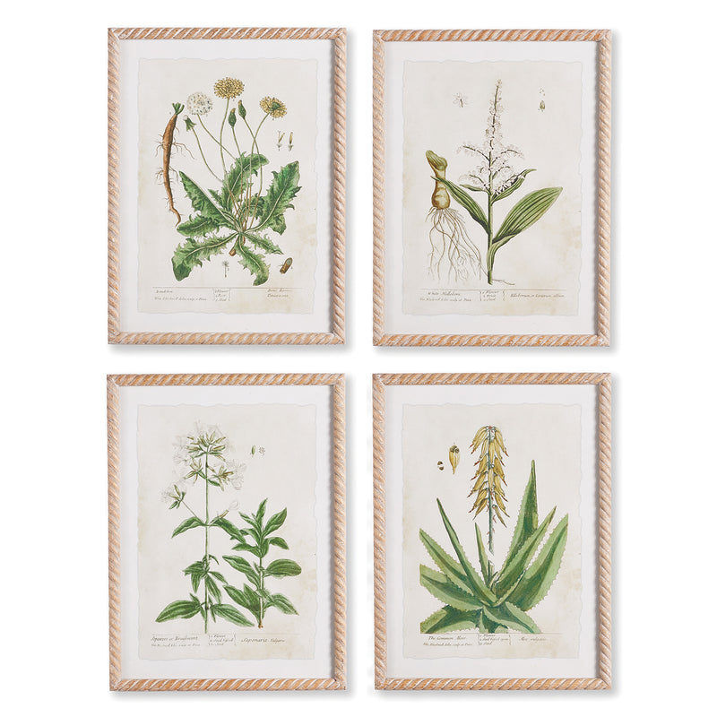 Vintage Botanical Study Wall Art Set of 4 – Paynes Gray