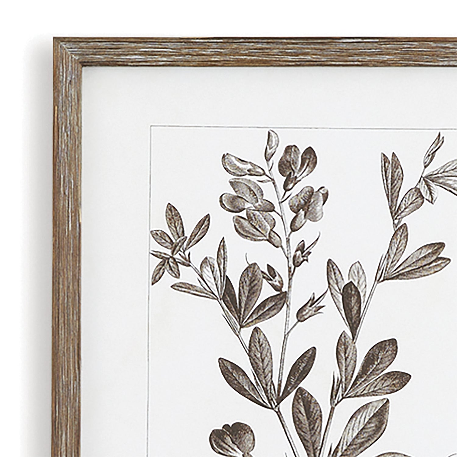 Rustic Foliage Study Wall Art Set of 9 – Paynes Gray