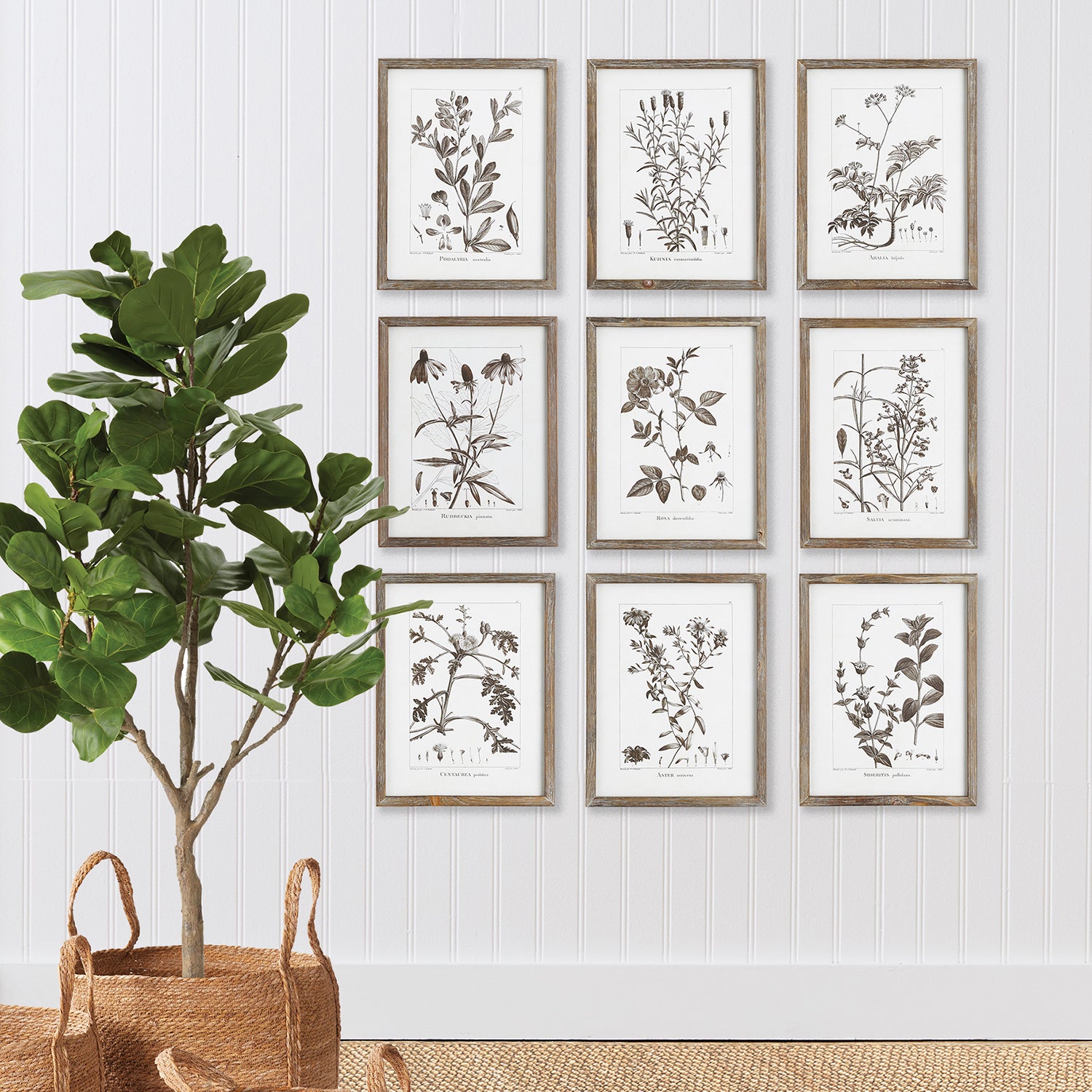 Rustic Foliage Study Wall Art Set of 9 – Paynes Gray