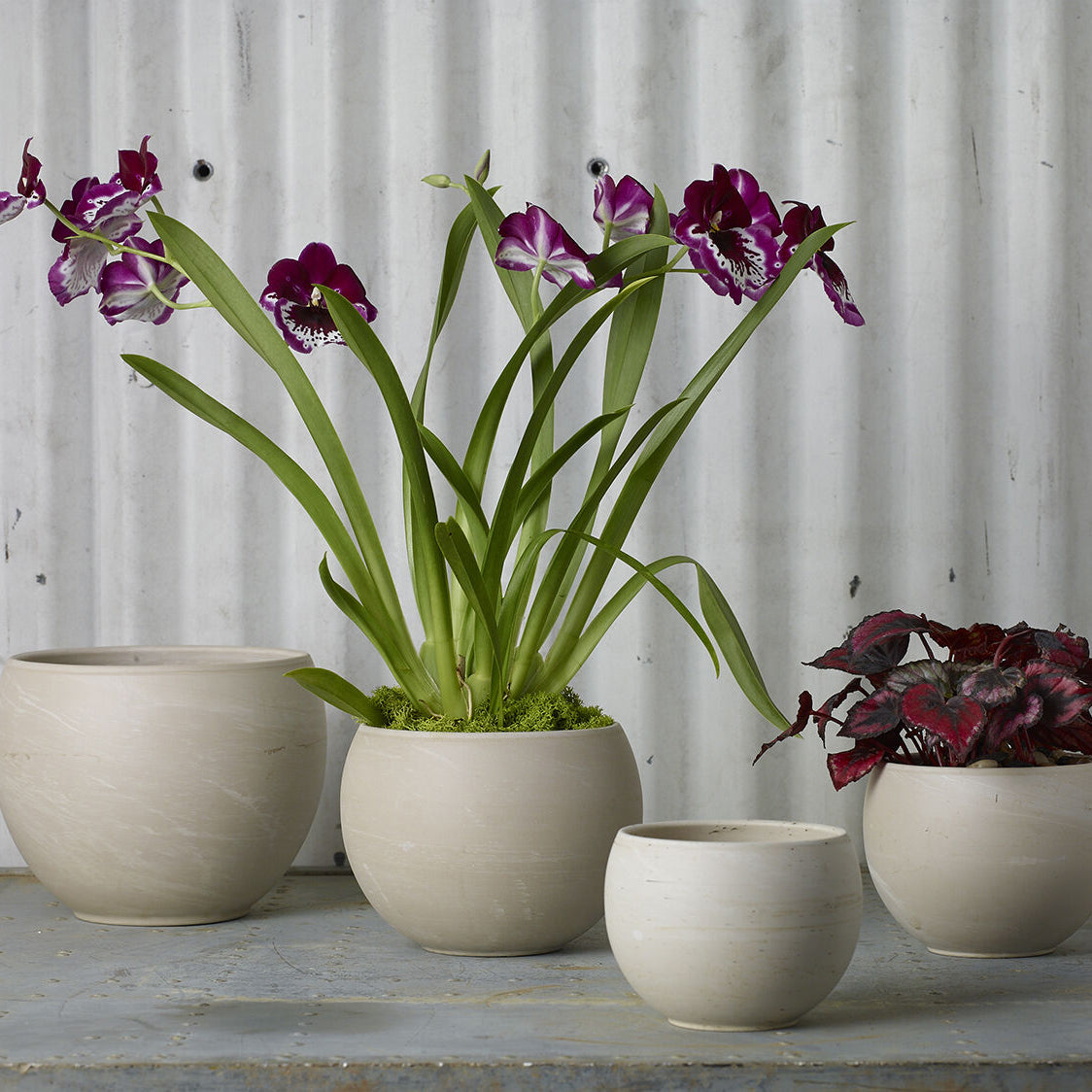 Astrid II Pot
