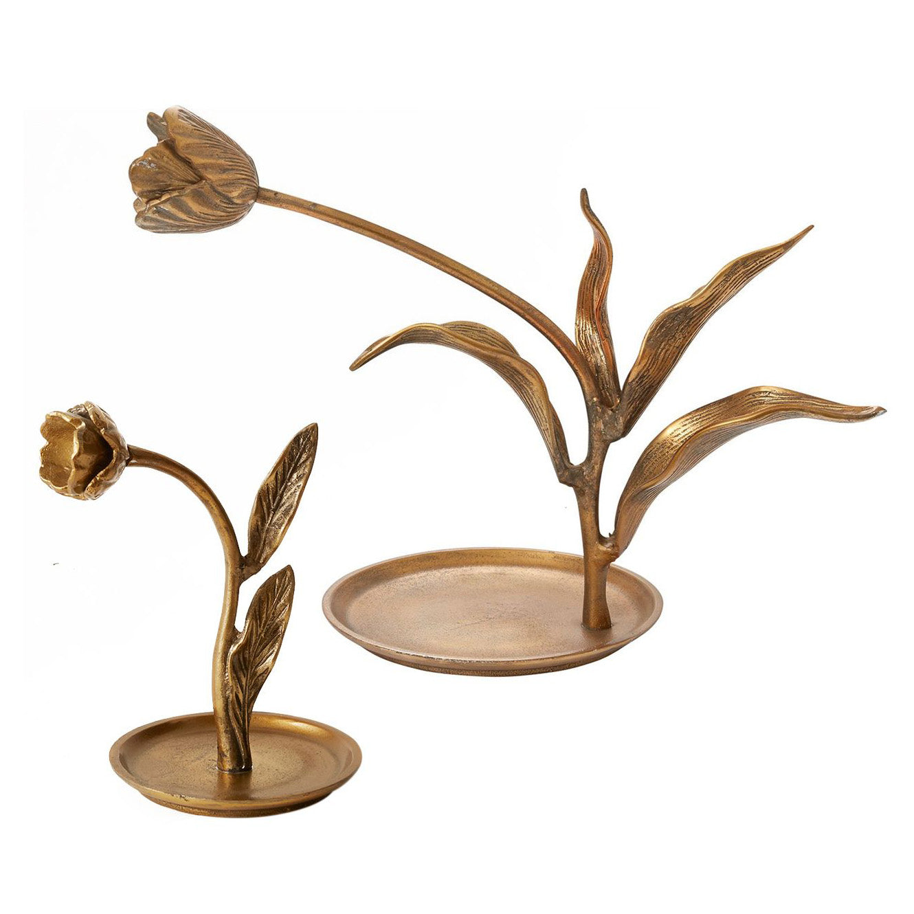 Craning Tulip Sculpture – Paynes Gray