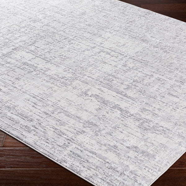 Surya Aisha Shy Machine Woven Rug – Paynes Gray