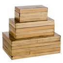 Reed Box Set of 3